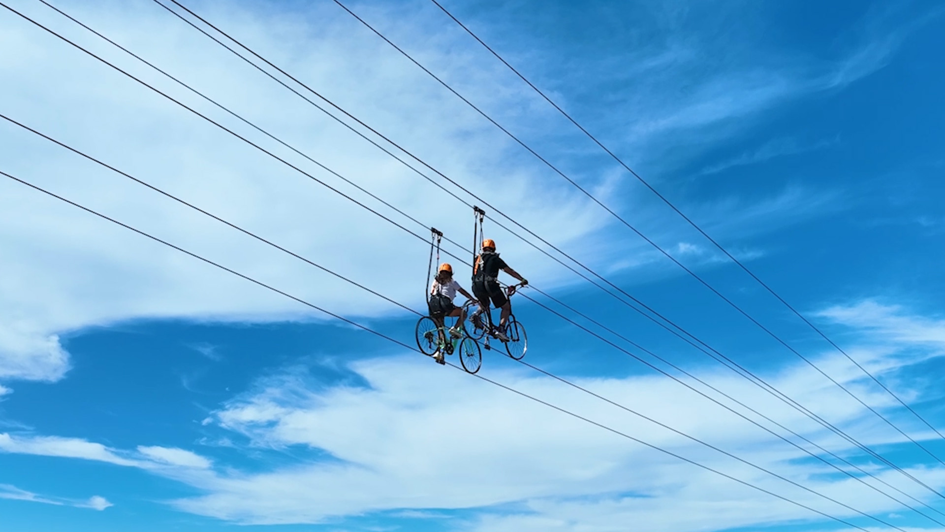 Cactus Tours sets Guinness World Records title for world's longest ...